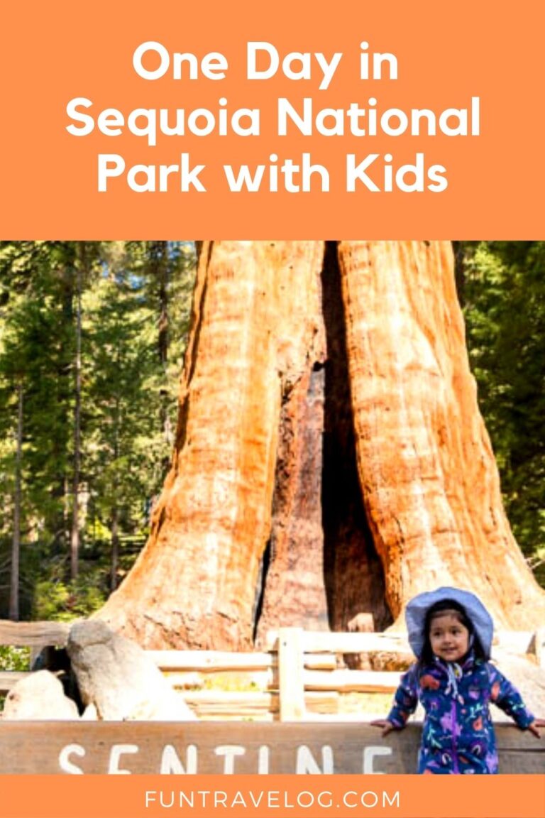 How to plan one day in Sequoia National Park with kids? | Fun Travelog